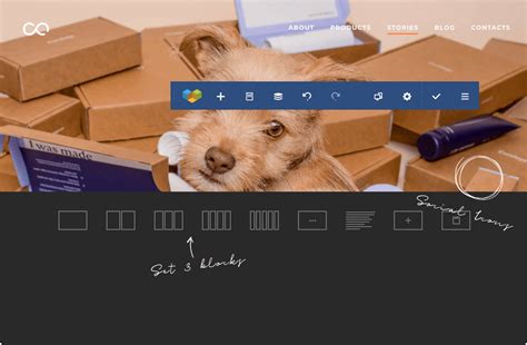 wordpress theme builder visual composer website builder
