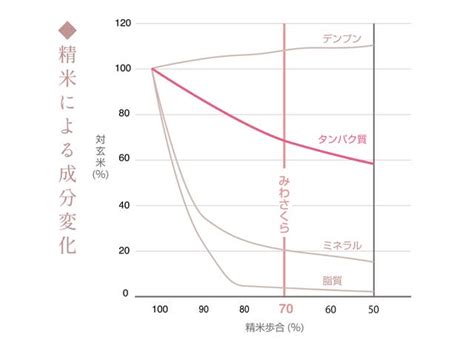 初めて日本酒の「純米酒」に恋をする 二口目から美味い 「くらくらする初濃いの味」｜マクアケ アタラシイものや体験の応援購入サービス