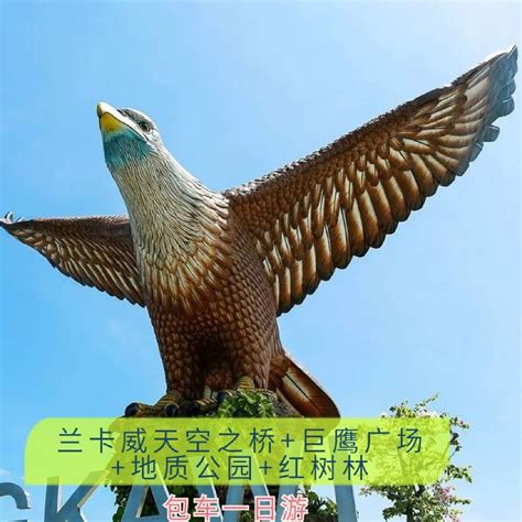 兰卡威天空之桥 巨鹰广场 兰卡威地质公园 红树林生态保护区1日包车游【兰卡威红树林 中文包车游 悠闲畅玩】线路推荐【携程玩乐】