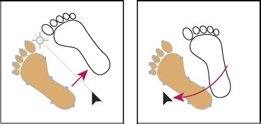 How To Rotate And Reflect Objects In Illustrator
