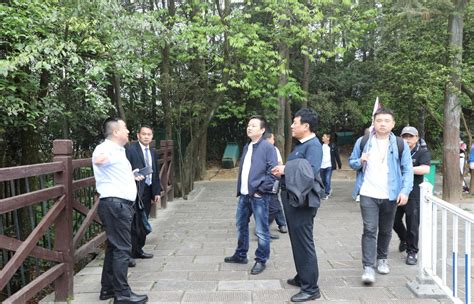张旅集团开展节前检查暨布置五一假期接待工作 新闻动态 张旅集团