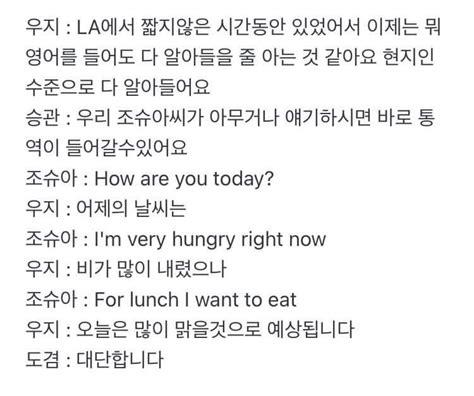 잡담 세븐틴 이거 영상 어디서 볼수있어 인스티즈instiz 연예 카테고리