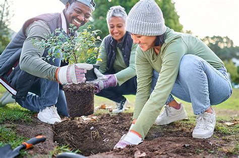 Pseg Long Island Celebrates Earth Day By Giving Out Energy Saving Trees