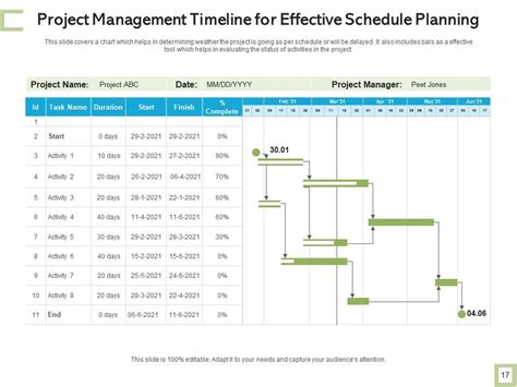 Schedule Management Plan Situation Analysis Revenue Generation