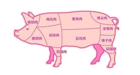 猪肉哪个部位最好吃？