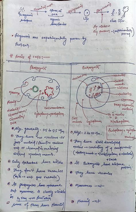 Solution Cell Nucleus Chromosomesmicrobodiescell Organelles