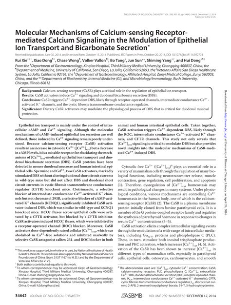 PDF Molecular Mechanisms Of Calcium Sensing Receptor Mediated Calcium