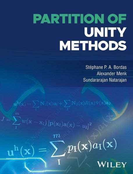 Partition Of Unity Methods Von Stéphane Bordas Alexander Menk