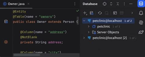 使用 Database Tools 实现高效数据查询的十大 Intellij Idea 快捷键databasetools Csdn博客