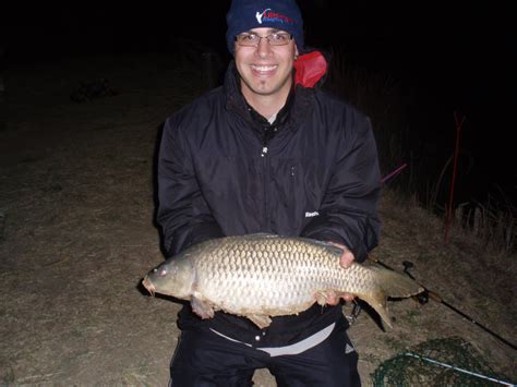 South African Common Carp Photographs And Pictures