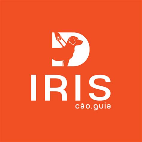 Consultoria Fea Social