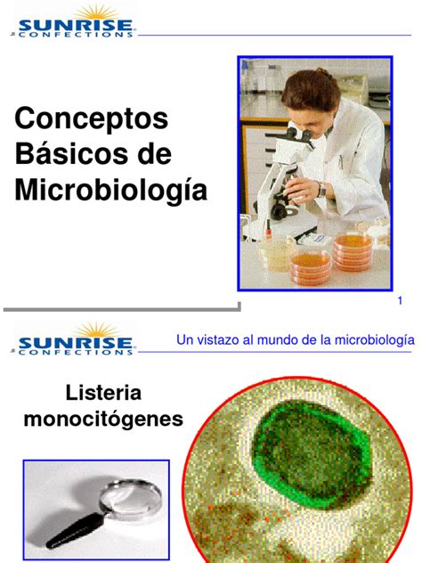 Conceptos Basicos De Microbiologia Pdf Las Bacterias Biología