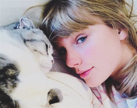 Meet Taylor Swifts Famous Feline Trio The Cats That Rule Her Heart