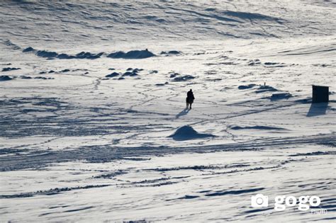 Өндөржүүлсэн бэлэн байдлын зэрэг гэж юу вэ