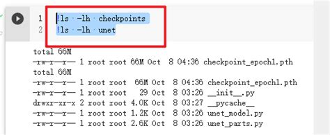 No Checkpoint Saved · Issue 303 · Milesialpytorch Unet · Github