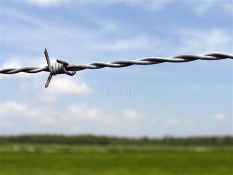 Barbed Wire Macro Stock Image Image Of Burglary Dangerous 11895507