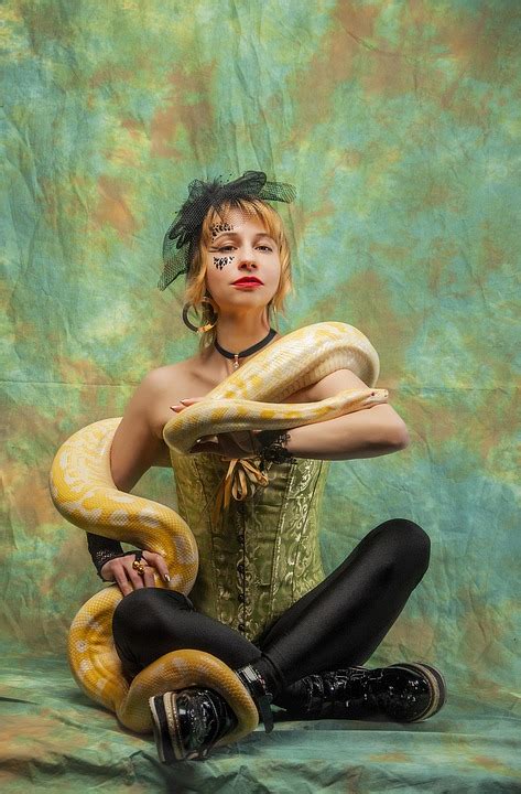 姿势 显示 Python Pixabay上的免费照片 Pixabay 姿势 显示 Python Pixabay上的免费照片 Pixabay