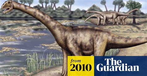 Asteroids Killed Dinosaurs Theory