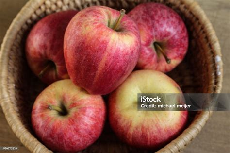 신선한 붉은 색과 노란색 로얄 갈라 사과 나무 바탕에 밀 짚 바구니에 0명에 대한 스톡 사진 및 기타 이미지 0명 건강한 식생활 과일 Istock