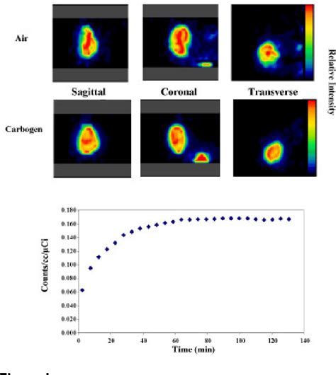 Figure 1 From The Influence Of Tumor Oxygenation On 18 F Fdg Fluorine