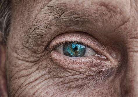 New Way To Prevent AMD A Common Cause Of Vision Loss Neuroscience News