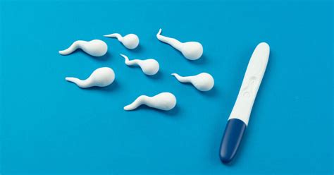 Mitos E Verdades Sobre A Fertilidade Masculina