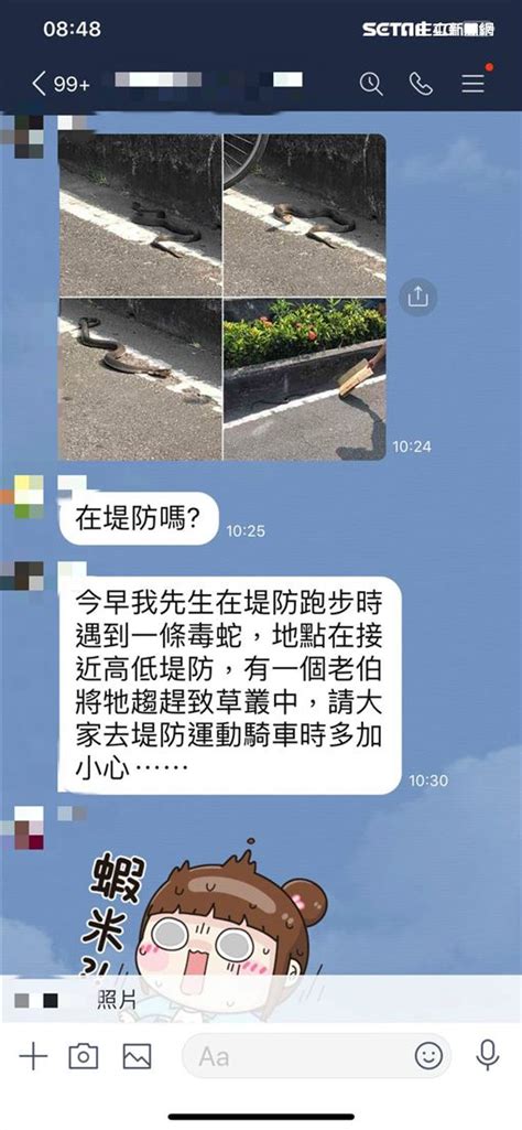 社子島眼鏡蛇「2週狂竄10多條」 恐是黑道放生嚇住戶？ 社會 三立新聞網 Setncom