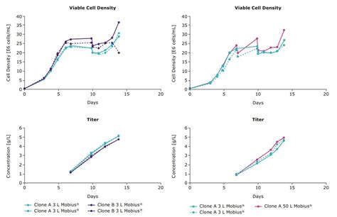 One Step Feed Optimization For Upstream Cell Culture Processes