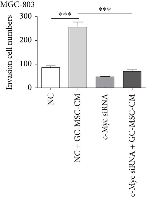 Hbm Msc Cm Promoted Migration And Glucose Uptake Of Mgc 803 And Bgc 823