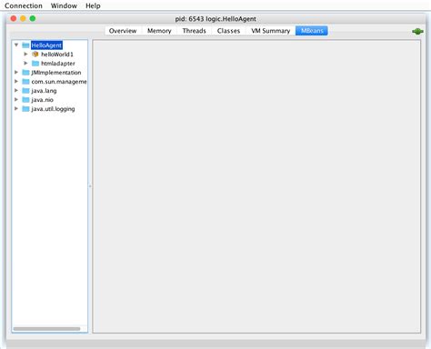 Java Retrieve The Information Of A Registered Jmx Mbean Stack Overflow