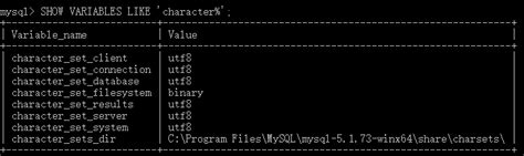 windows mysql如何修改默认字符集 windows修改mysql服务器默认操作字符集 csdn博客