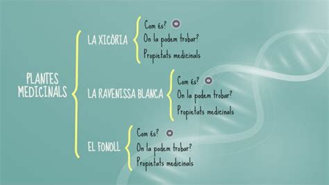 Esquema Plantes Medicinals Genially