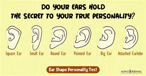 Ear Shape Personality Test What Your Ear Reveals About You