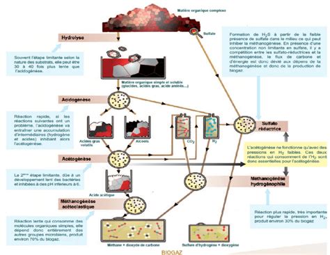 The Conditions For The Methanisation Reaction Download Scientific