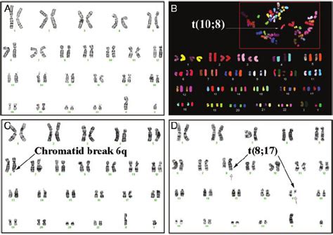 Nonreciprocal Translocation