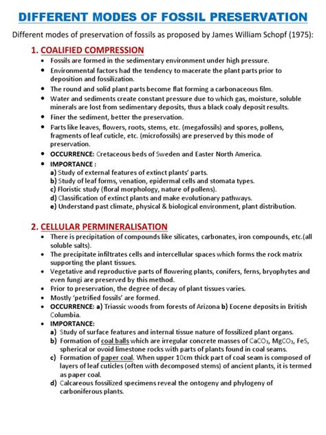 Different Modes Of Fossil Preservation Pdf Plants Leaf