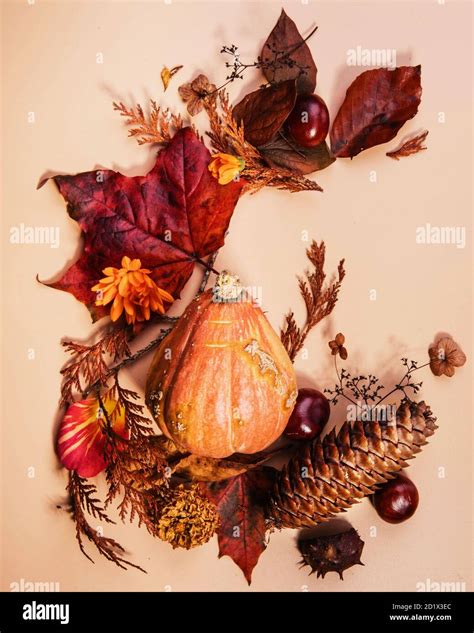 Autumn Concept Art Collection Of Autumnal Objects Including Pumpkin