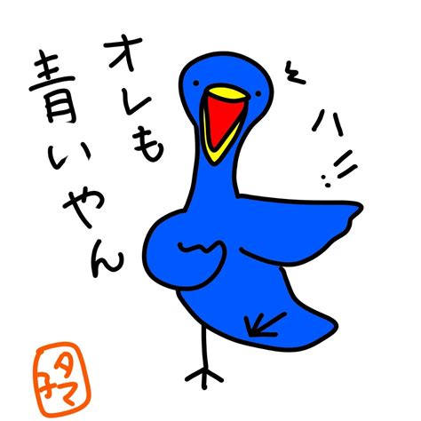 出雲で生まれた青い鳥のお話。その2。 空とぶタマ子ヽ´ `の旅記録