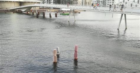 Artificial Reef With Innovative Concrete Expected To Increase