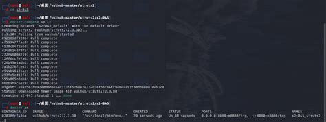 Vulhub靶场之struts2漏洞复现struts2系列漏洞验证利用模块 Csdn博客