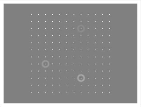 An Example Of The Stimulus Used In Experiment 1 The Vertical Target