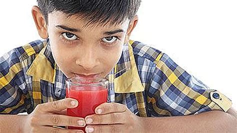 Jitomate Y Jugo De Tomate ¿posibles Aliados Contra La Fiebre Tifoidea