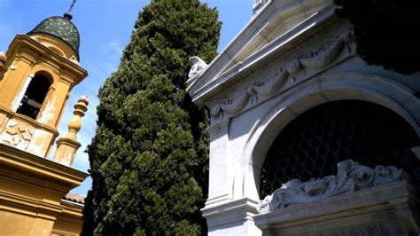 10 Criptas De Lieberkuhn Fotos Fotos De Stock Imagens E Fotos Royalty Free Istock