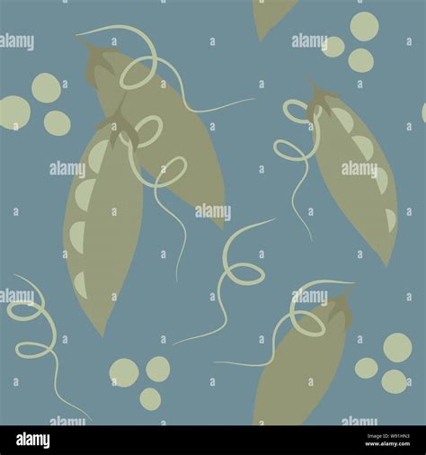 Vector Seamless Pattern Of Pea Pods Peas And Curls Stock Vector Image