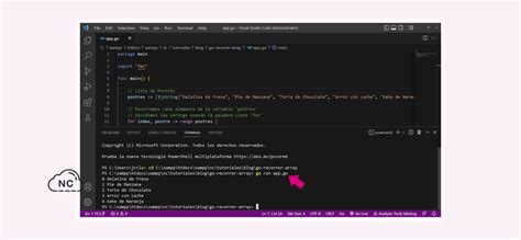 Como Ejecutar C Digo Go En Visual Studio Code