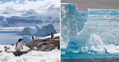Antarctica Is Losing Nearly Million Square Miles More Ice Than Anyone Realized TwistedSifter