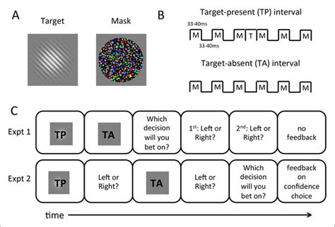 Figures And Data In Human Observers Have Optimal Introspective Access