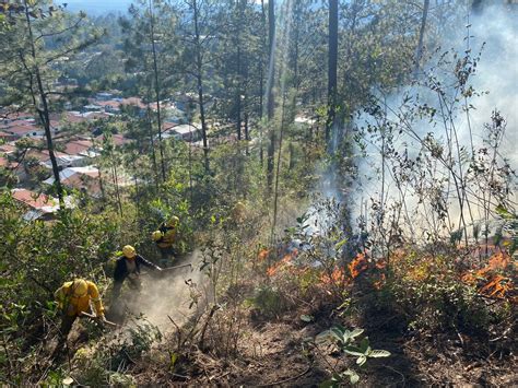 Durante 2024 Se Han Registrado 89 Incendios Forestales Que Han
