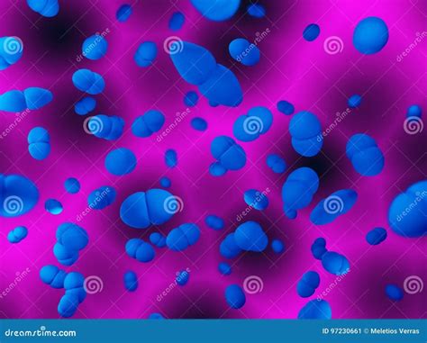 Gut Microbe Series 06 Enterococcus