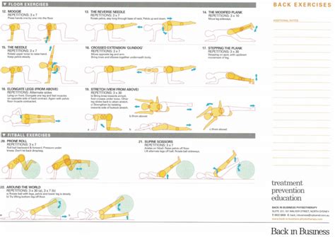 Pilates For Ehlers Danlos Syndrome A Step By Step Guide